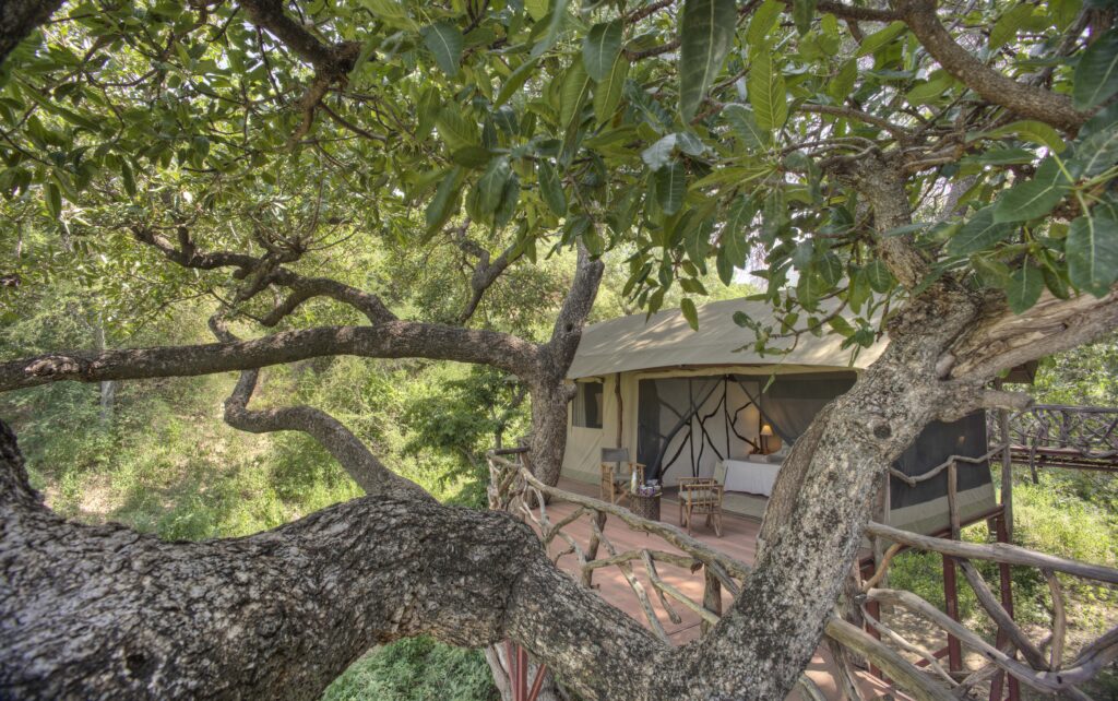 Sarara Treehouses - Ololo Safaris